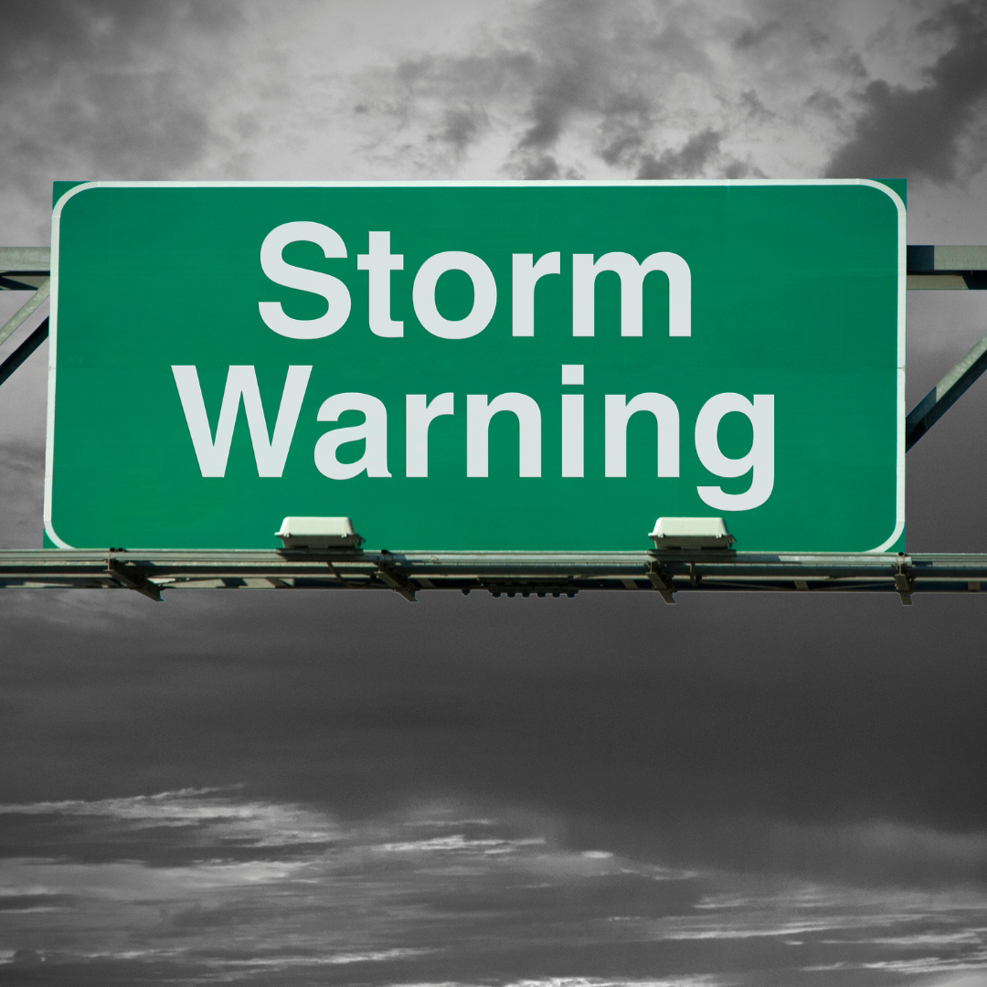 Remembering TerPet: Pain & Anxiety – Hemp Shack